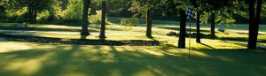Ledge Meadows Golf Course – Welcoming Golfers for over 50 years in ...